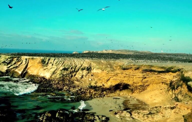Punta San Juan, a un paso de Marcona – Ica Perú – Colombia
